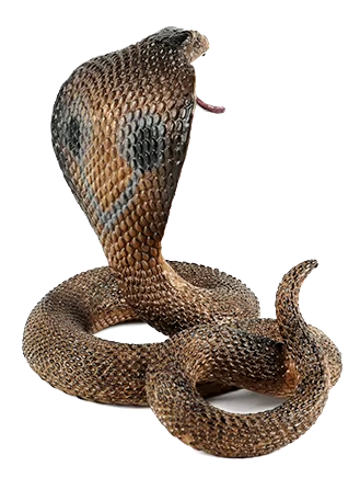 Indiana Jones Playfield Cobra brown – Modfather Pinball Mods