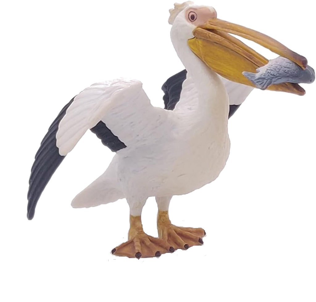 Jaws Playfield Pelican Male with fish – Modfather Pinball Mods