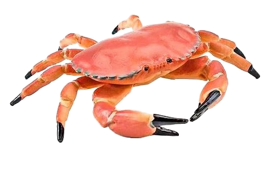 Baywatch Playfield Crab Red – Modfather Pinball Mods