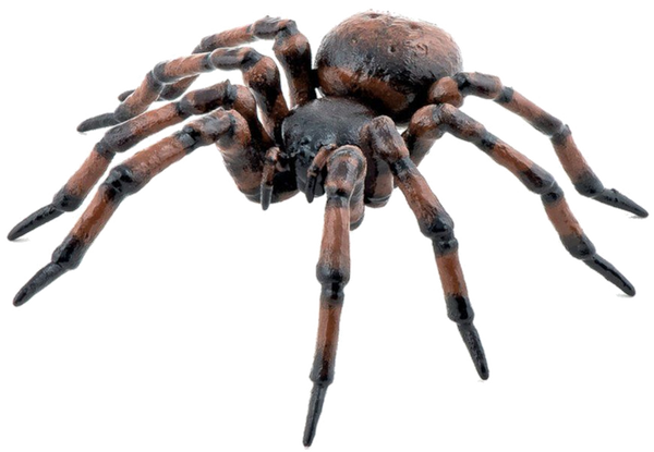 Playfield Character Spider Small – Modfather Pinball Mods